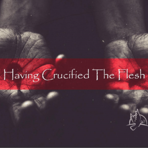 Teaching and lessons